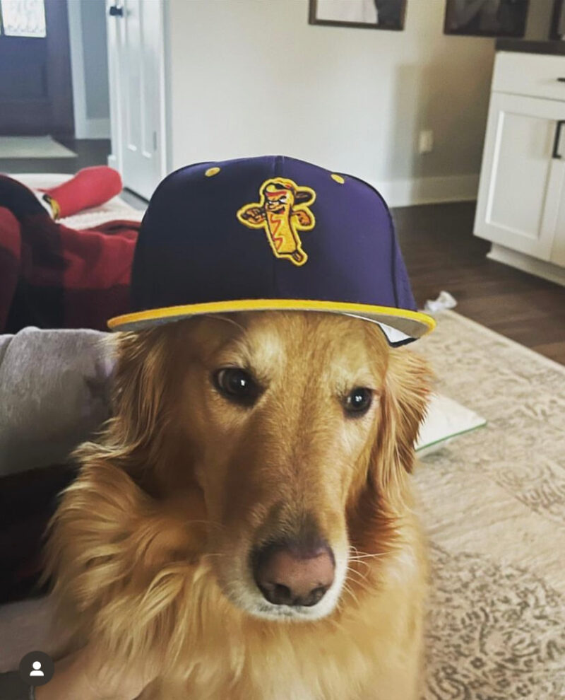 - Queen City Baseball Club